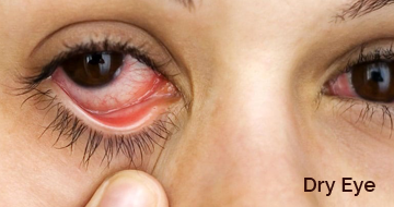 Welcome to TRENETRALAYA